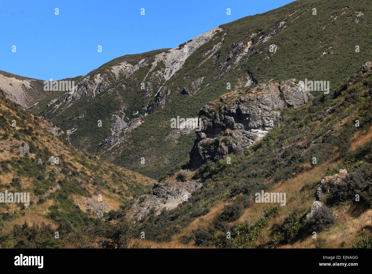 Korowai/Torlesse Tussocklands Park New Zealand in Torlesse and Big Ben ...