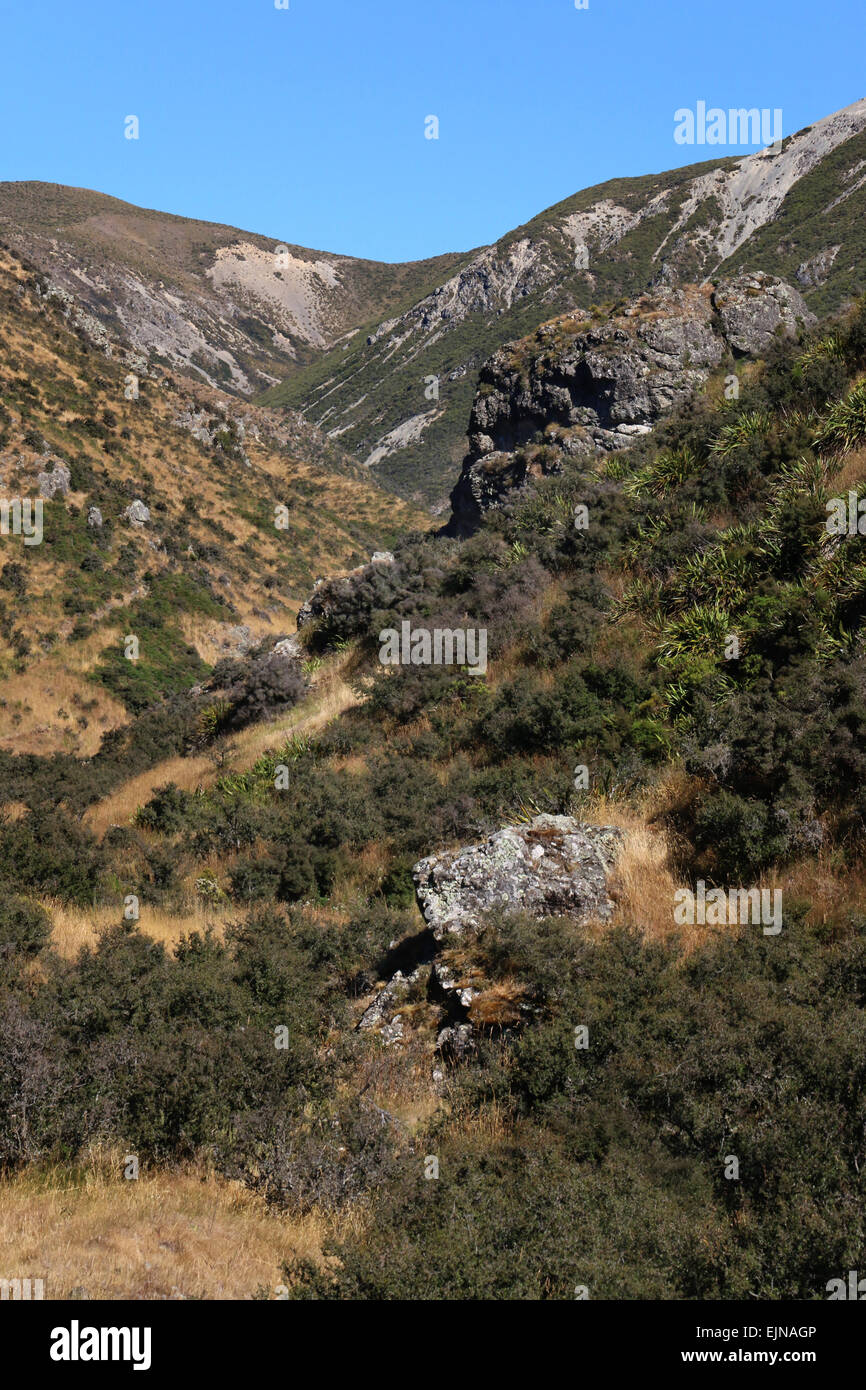 Tussocklands hi-res stock photography and images - Alamy