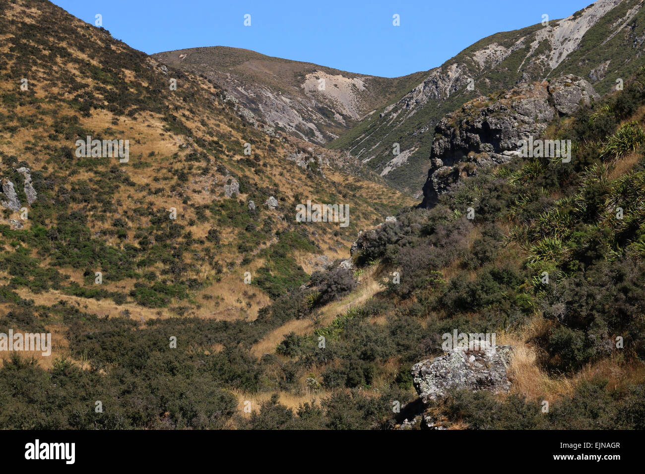 Korowai hi-res stock photography and images - Alamy