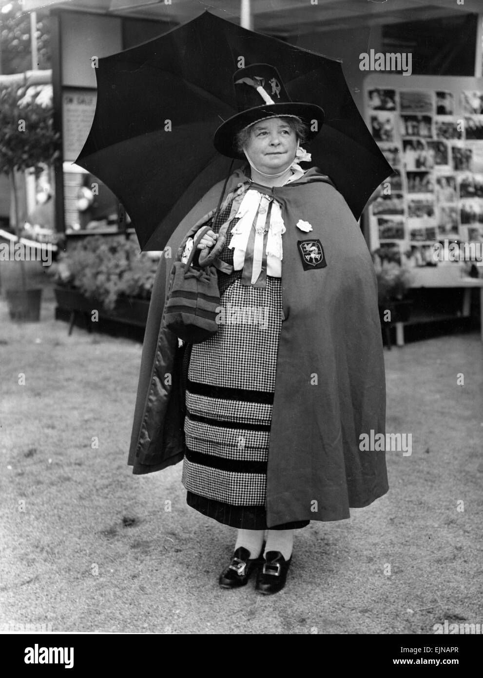 St David's Day - Picture Gallery - The umbrella may be English-made but ...