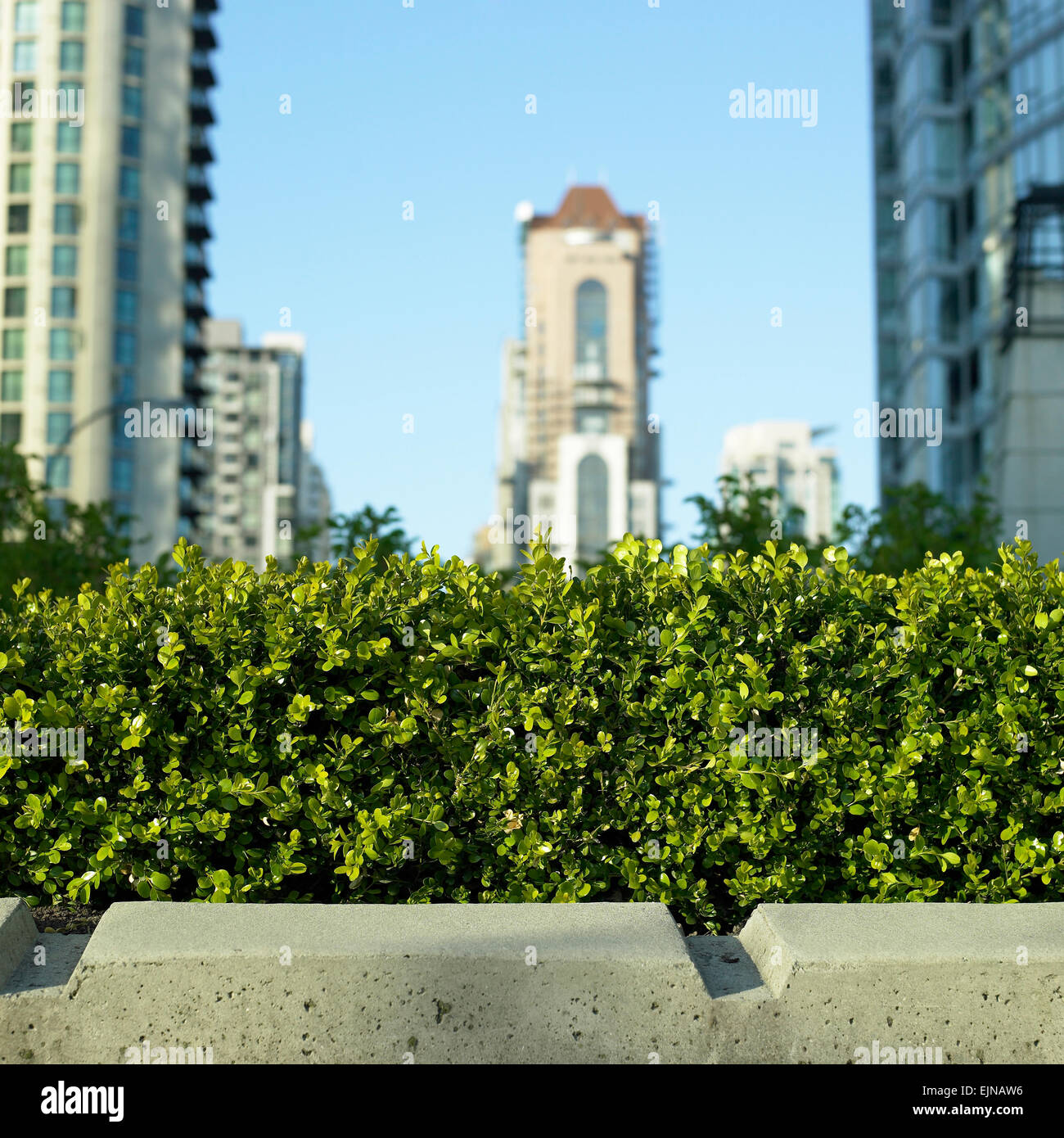 Contrast in detail basic design hi-res stock photography and images - Alamy