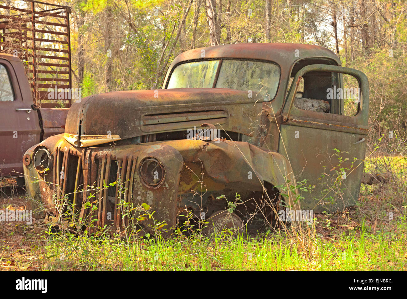 Car graveyard in Florida. Several old, defunct and rusty automobiles ...