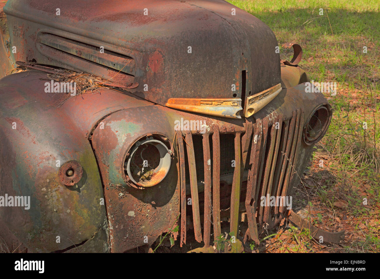 Car graveyard in Florida. Several old, defunct and rusty automobiles ...