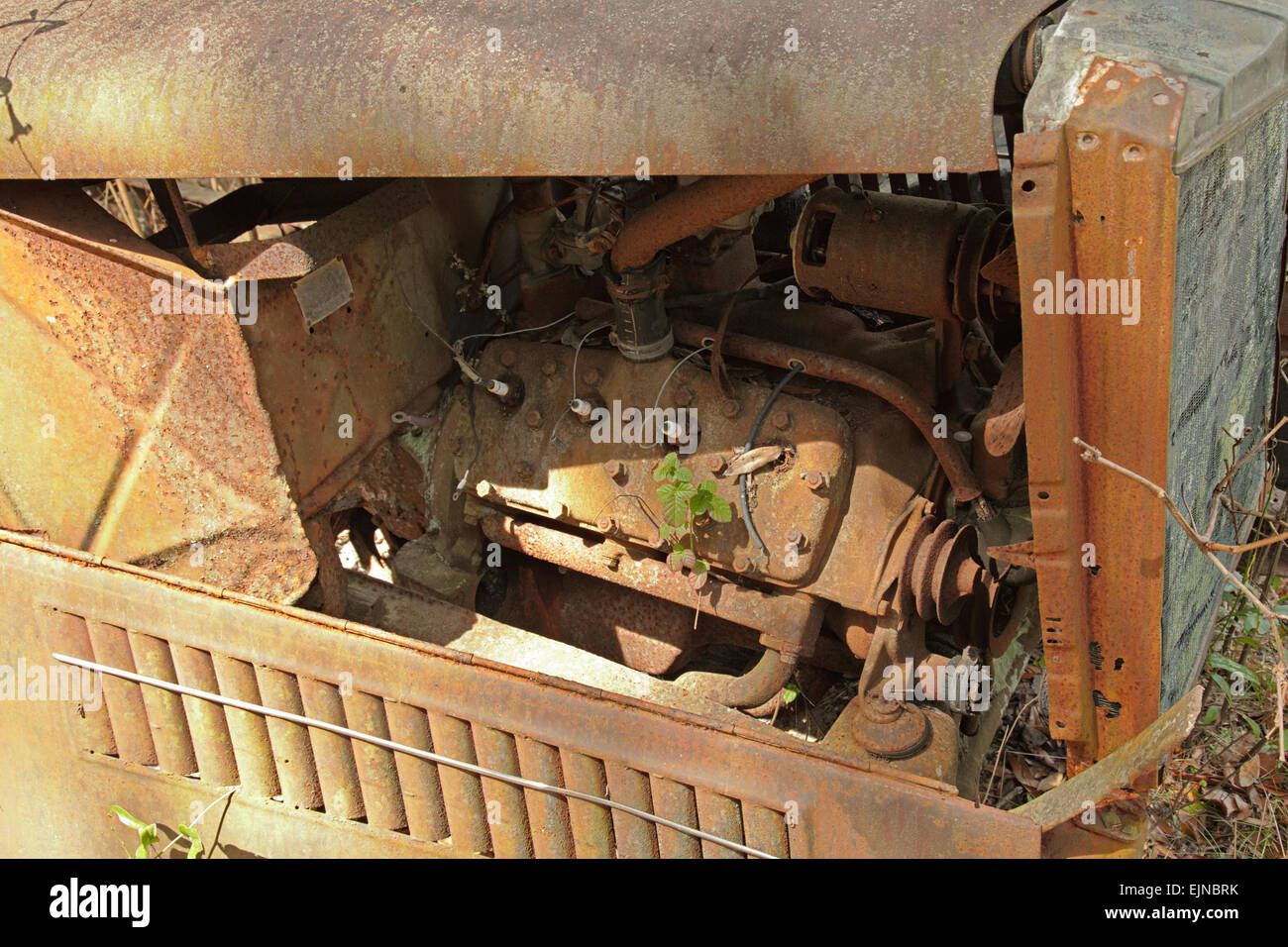 Car graveyard in Florida. Several old, defunct and rusty automobiles ...