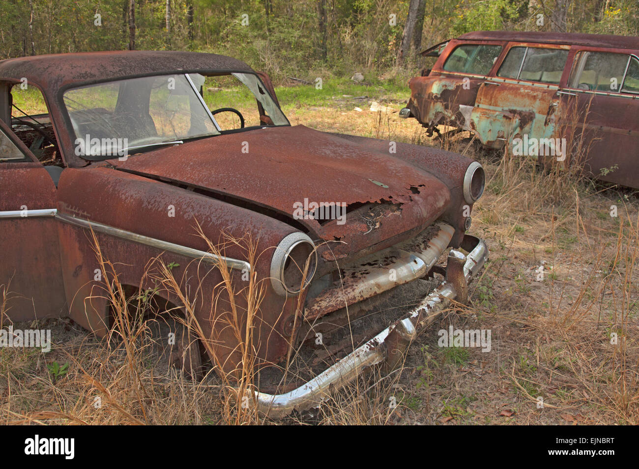 Greenish bus hi-res stock photography and images - Alamy