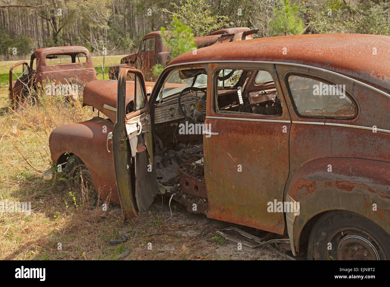 Car graveyard in Florida. Several old, defunct and rusty automobiles ...