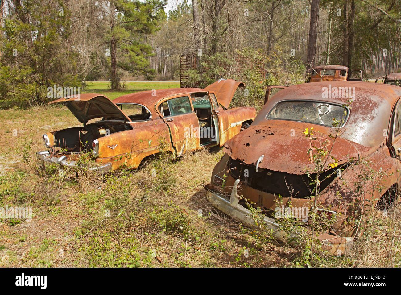 Car graveyard in Florida. Several old, defunct and rusty automobiles ...