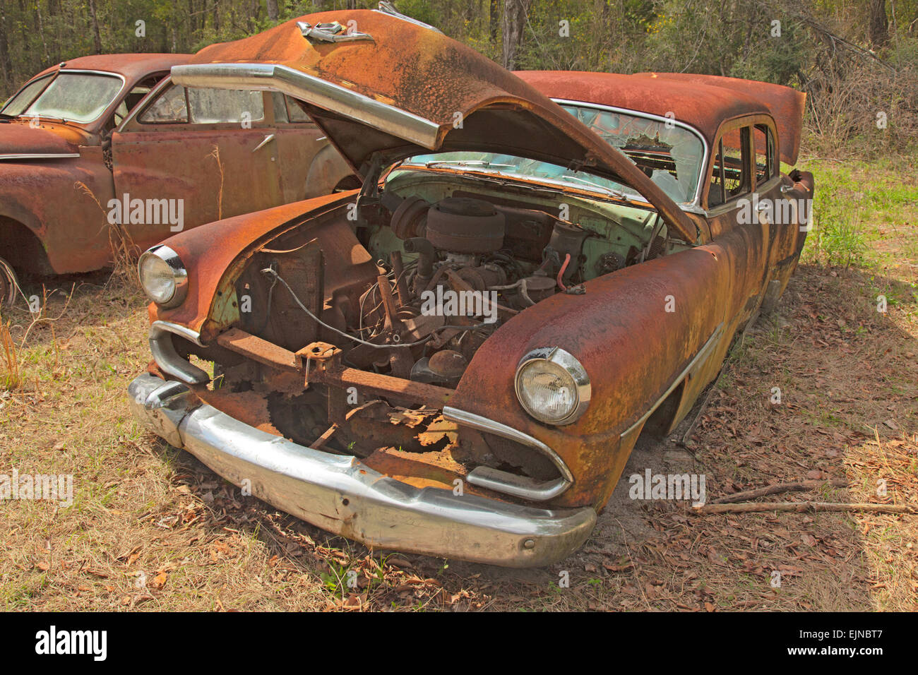 Car graveyard in Florida. Several old, defunct and rusty automobiles ...
