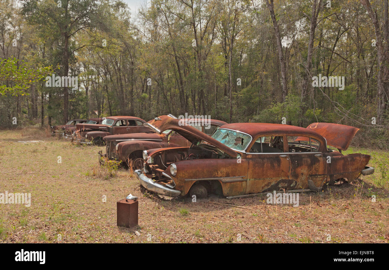 Car graveyard in Florida. Several old, defunct and rusty automobiles ...