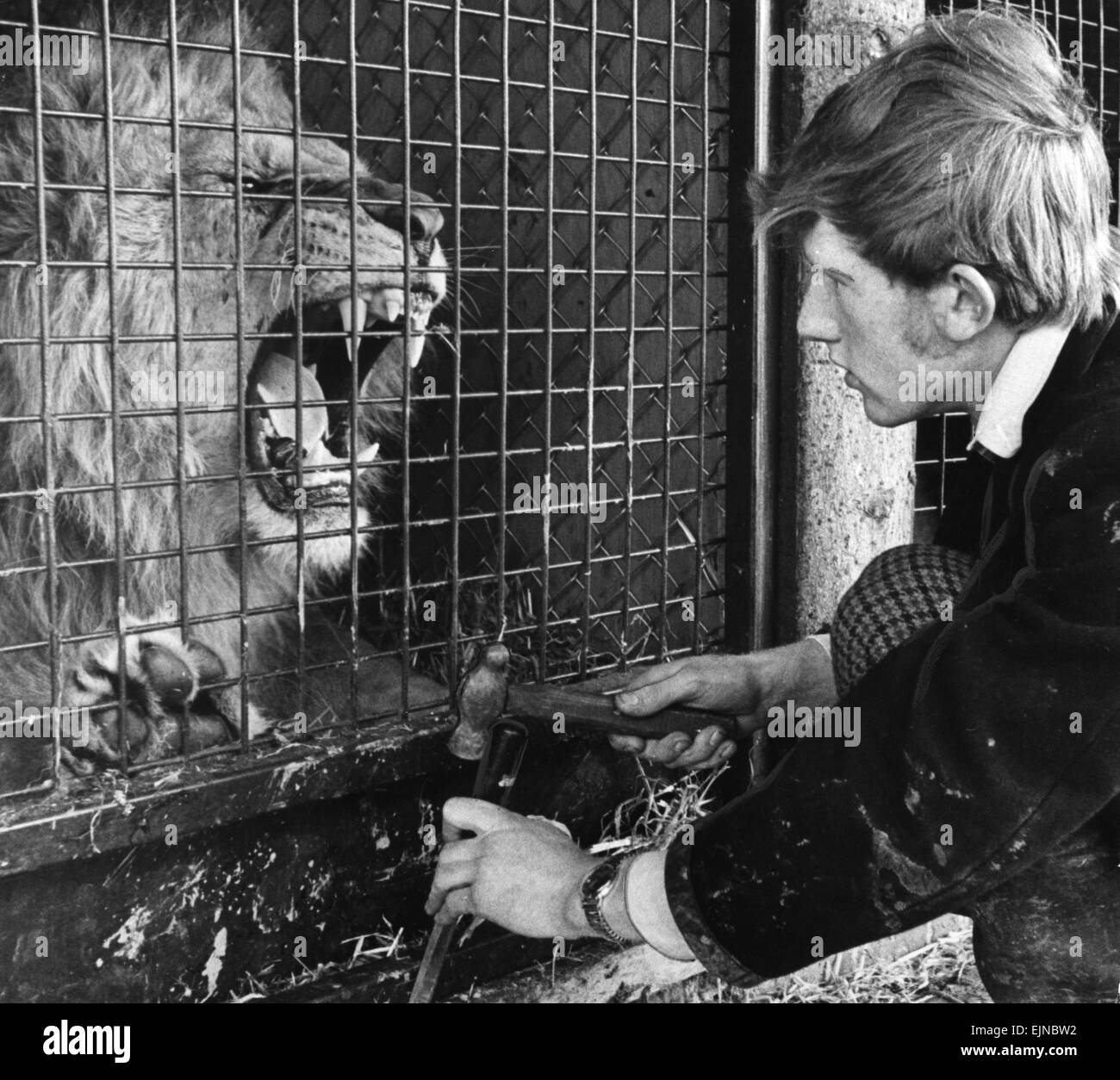 Workman Charlie Harris new on the job at Blair Drummond Safari ...