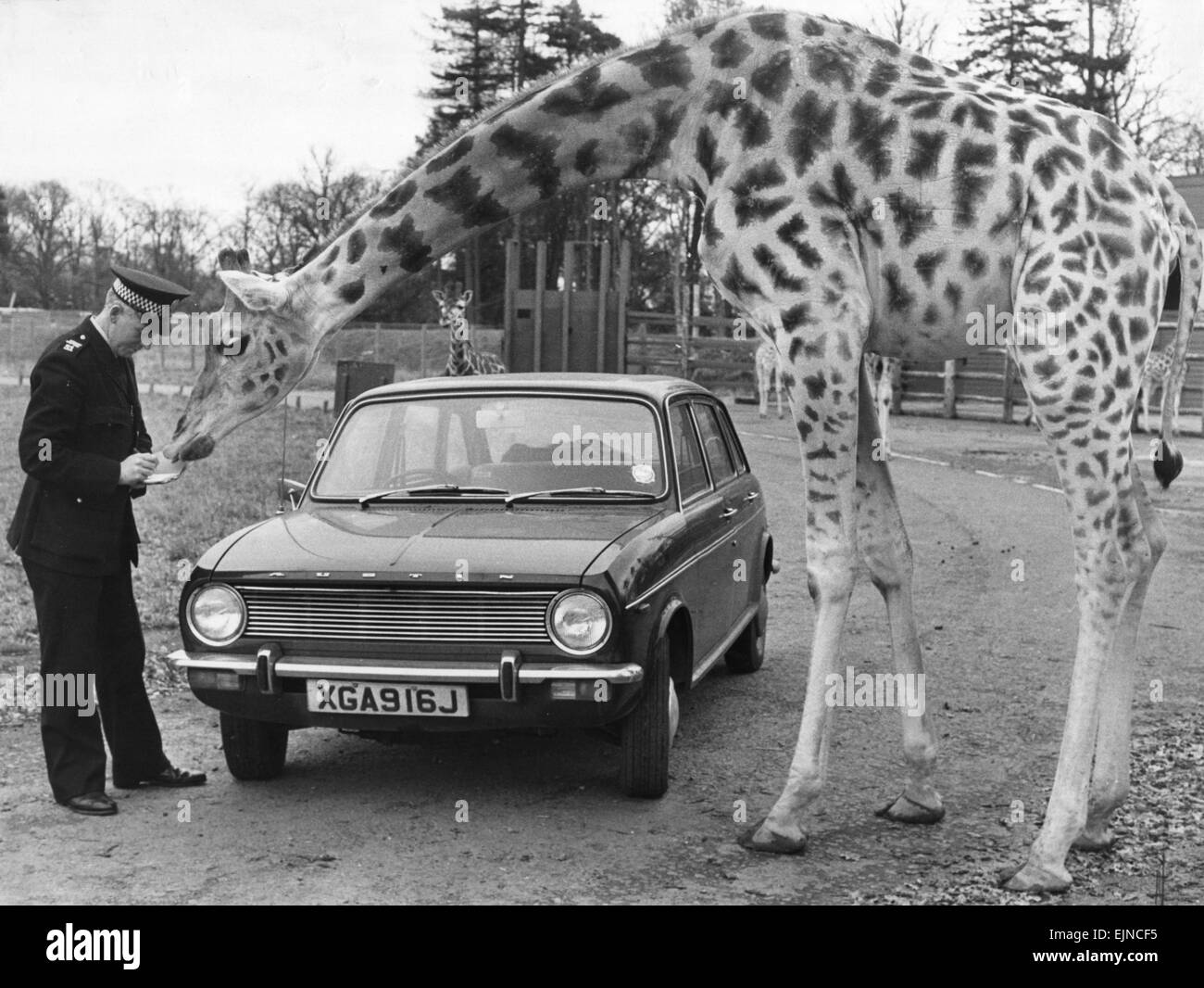 Constable Gerry Milne has the wildest beat in Scotland ... his patrol ...