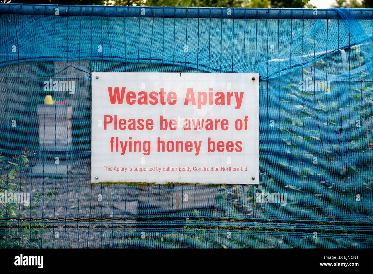 Warning Sign Bees Stock Photos & Warning Sign Bees Stock Images - Alamy