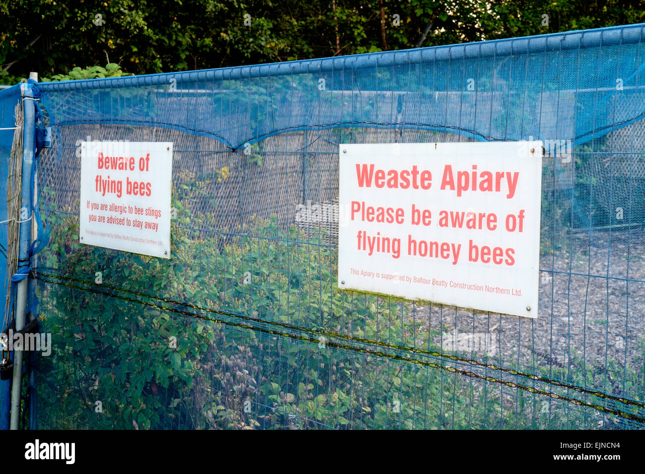 Warning sign bees hi-res stock photography and images - Alamy
