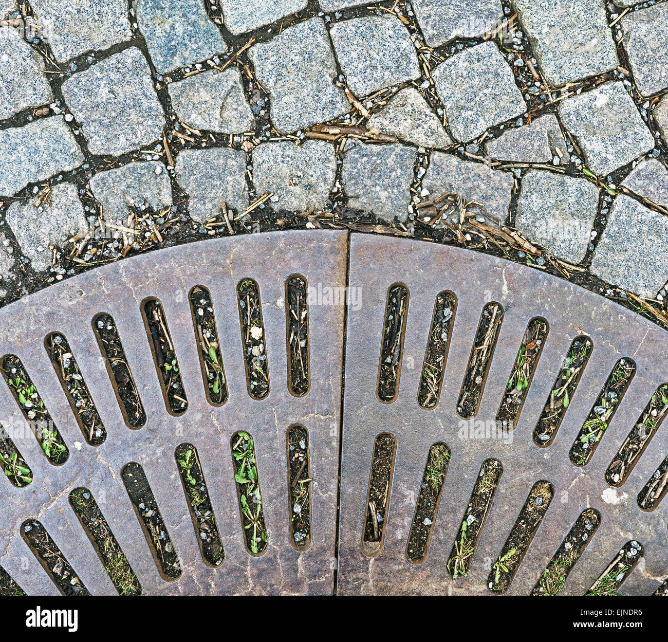 Iron grid hi-res stock photography and images - Alamy