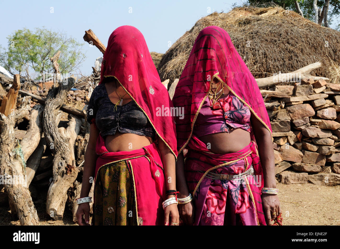 Costume rajasthani traditional women High Resolution Stock Photography ...