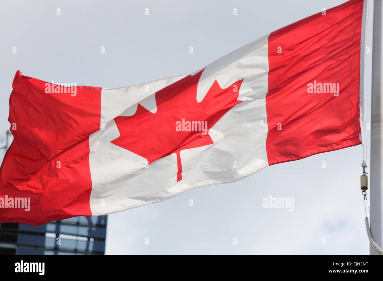 Canadian flag waving in light hi-res stock photography and images - Alamy
