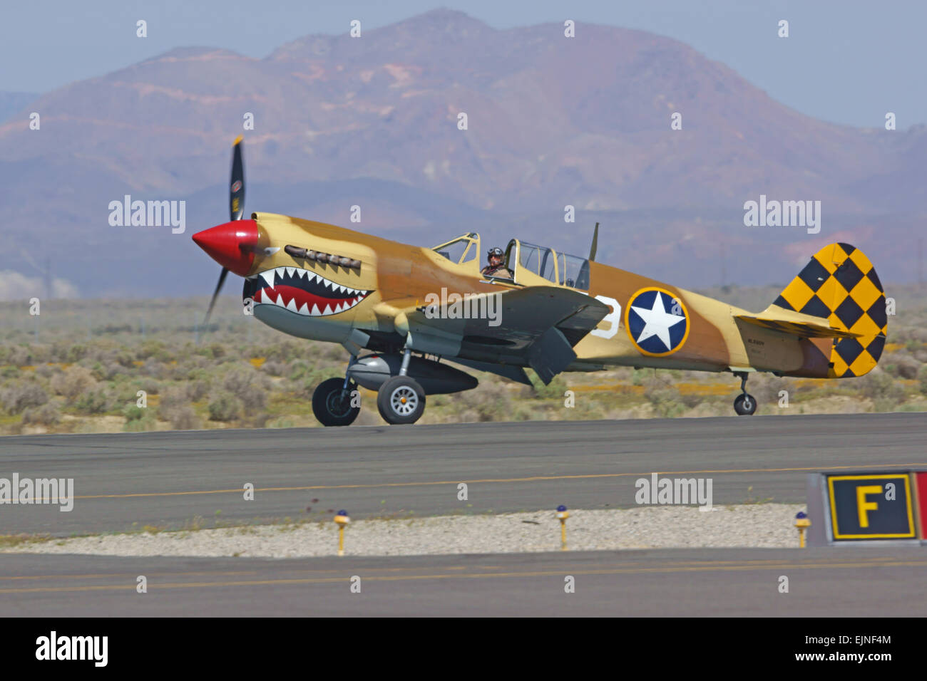 P-40 Warhawk Vintage WWII Warbird Propeller Airplane on the runway at ...