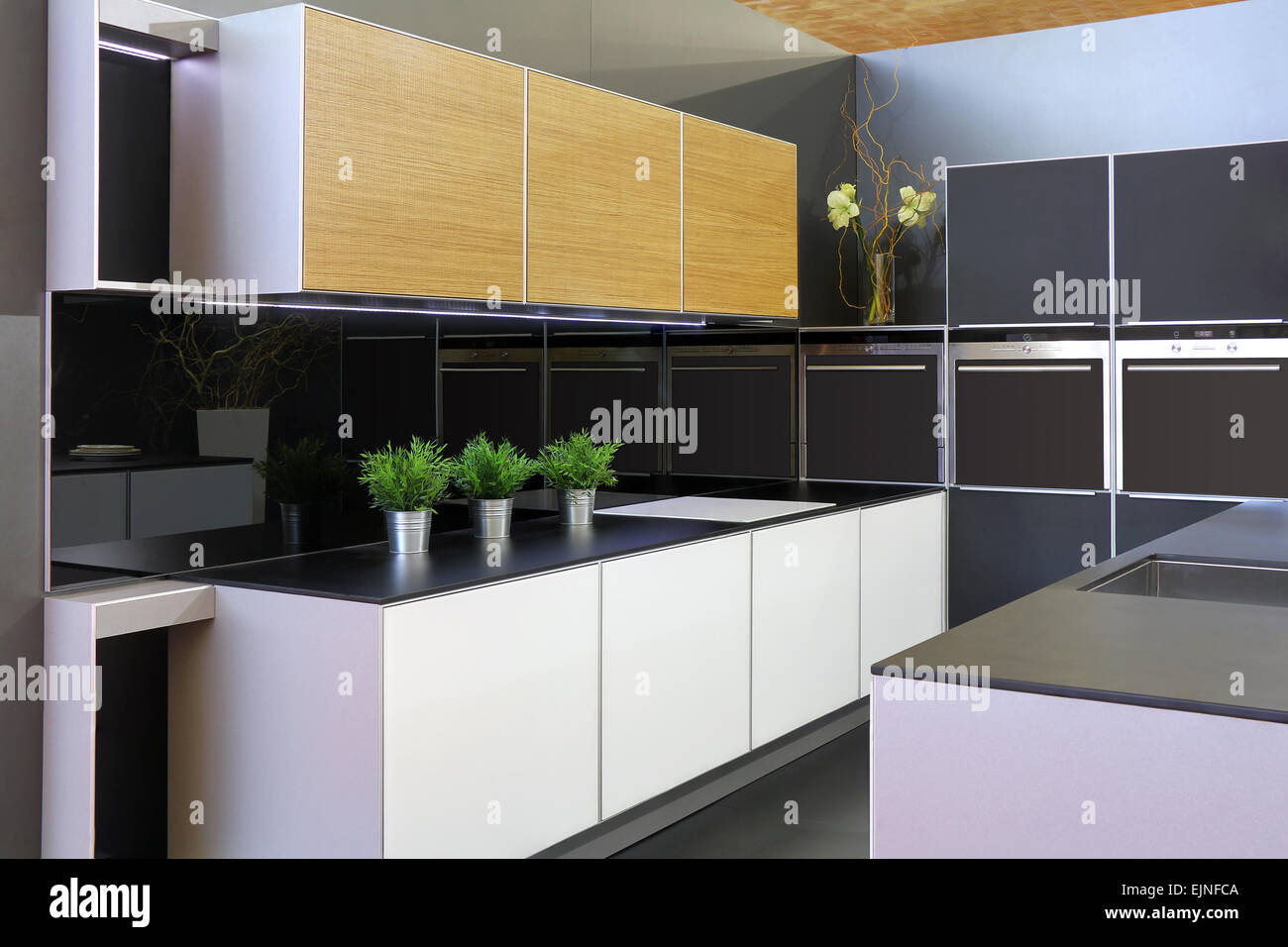 Modern Luxurious new kitchen with expensive appliances Stock Photo - Alamy