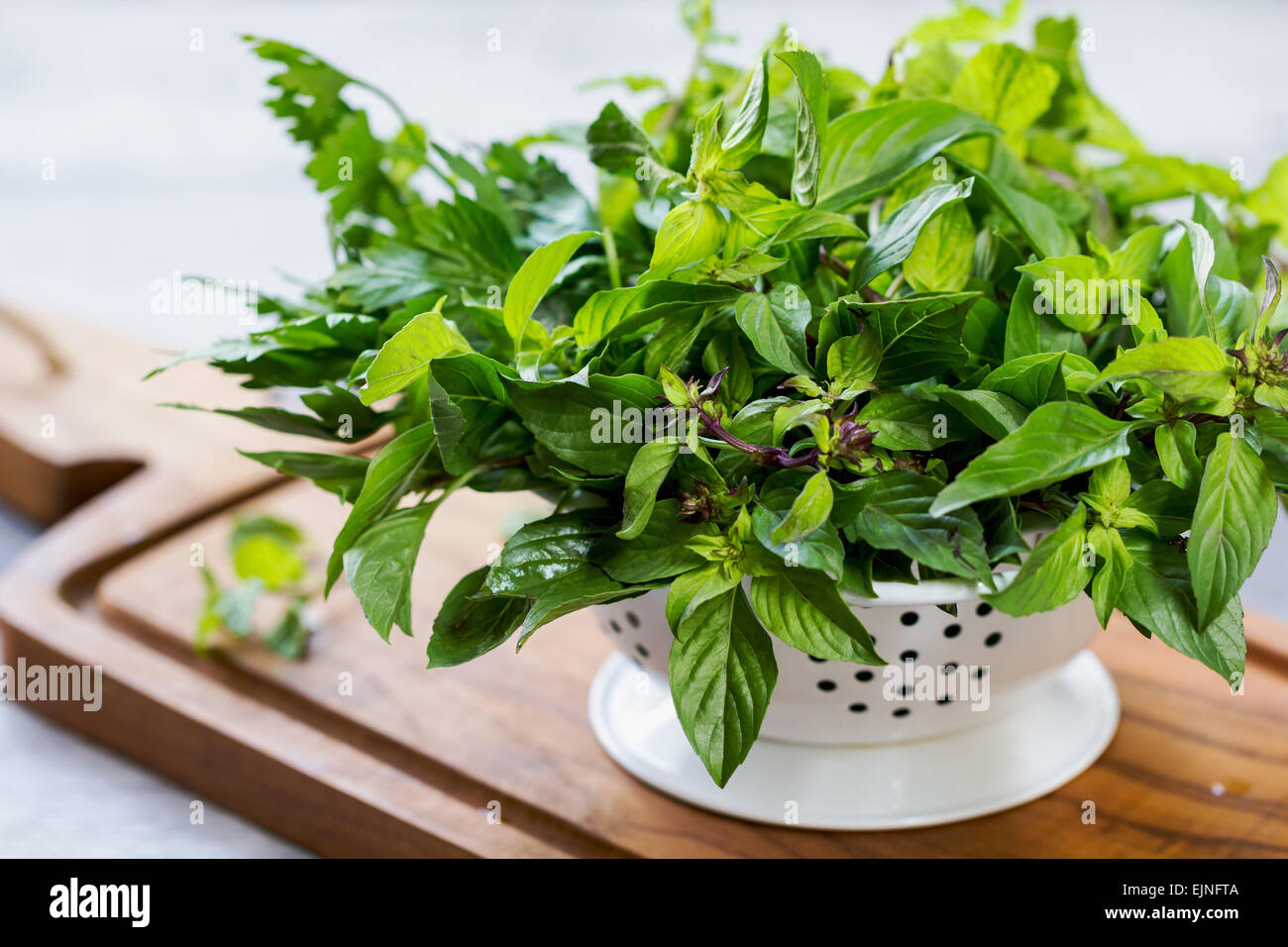Italian Parsley,Mint and Basil in colander Stock Photo - Alamy