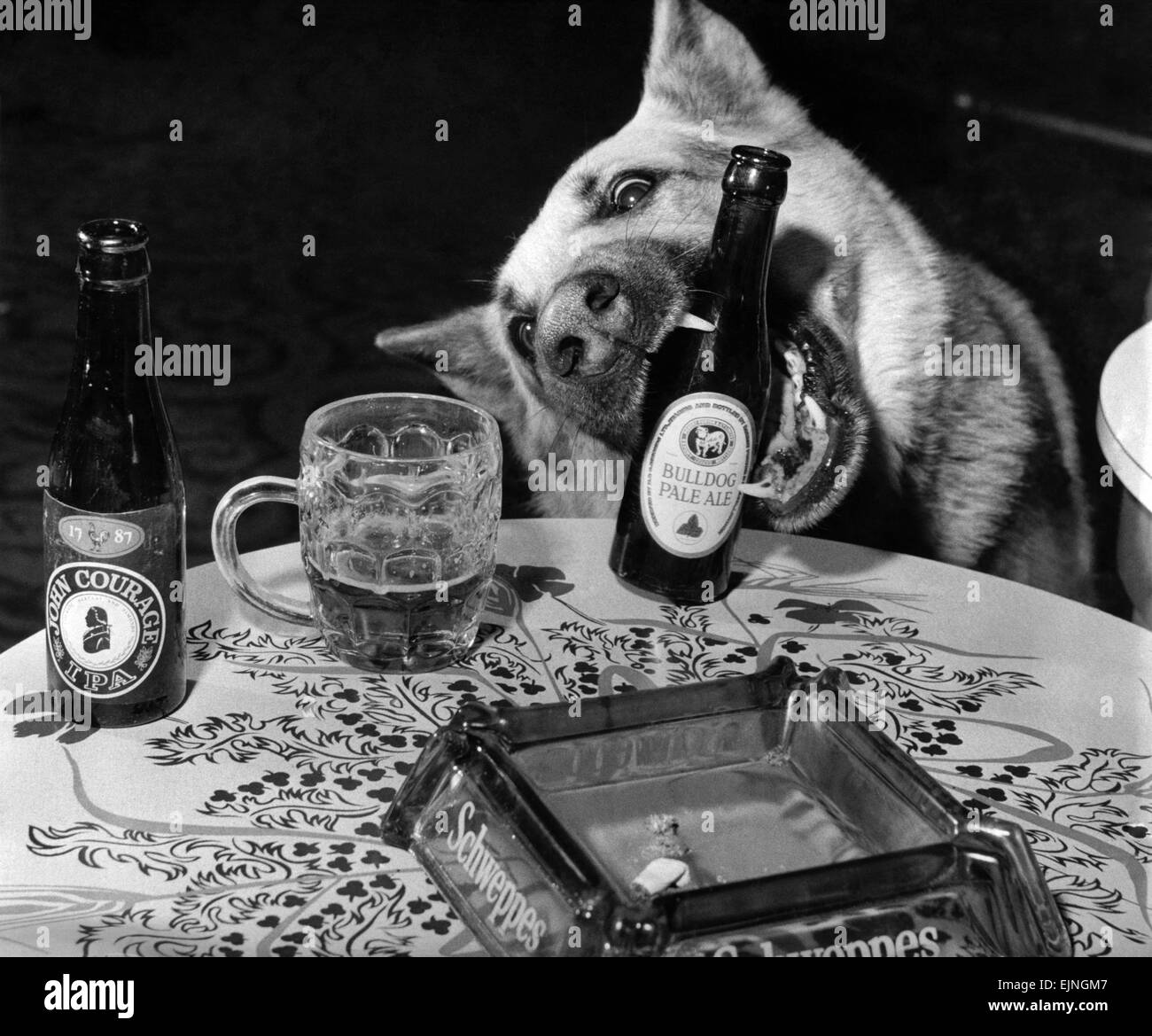 Beer making old photos hi-res stock photography and images - Alamy