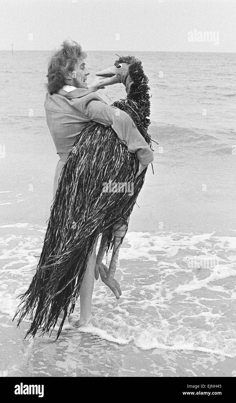 Rod hull and emu hi-res stock photography and images - Alamy