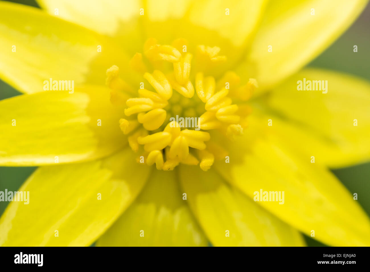 Orange yellow interior hi-res stock photography and images - Alamy