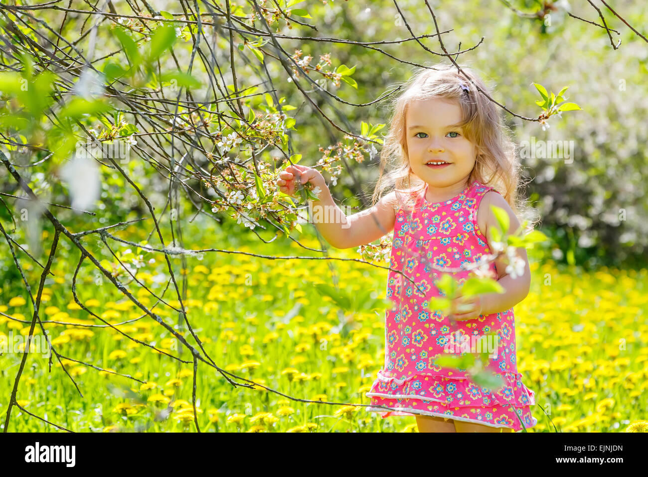 Happy little girl in spring sunny park Stock Photo - Alamy