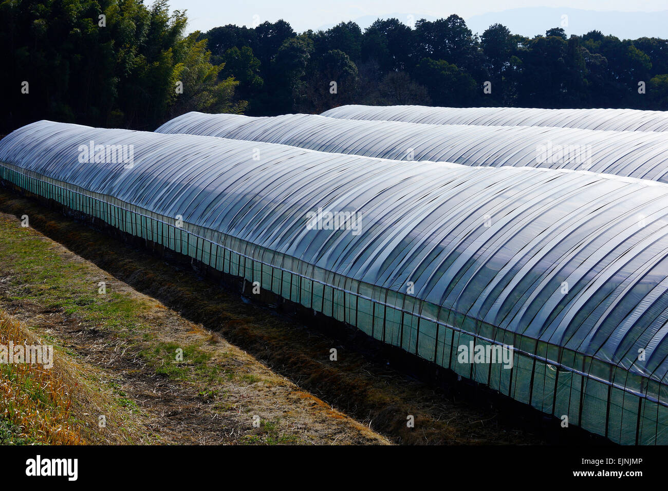 Japan greenhouse hi-res stock photography and images - Alamy