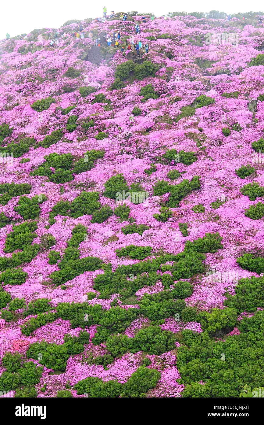 Oita Prefecture Japan Stock Photo - Alamy