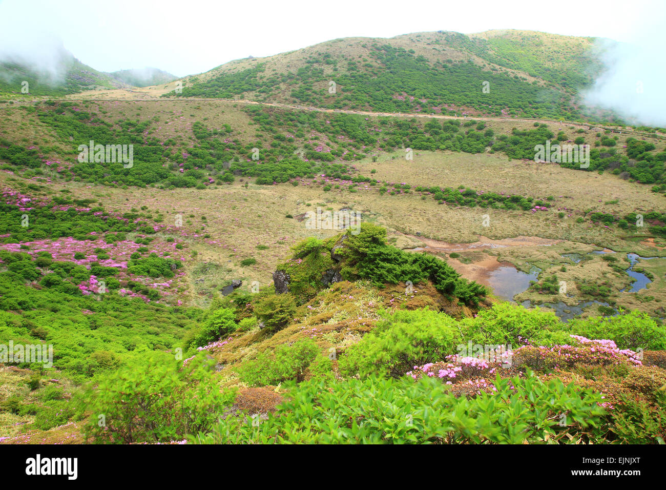 Oita Prefecture Japan Stock Photo - Alamy