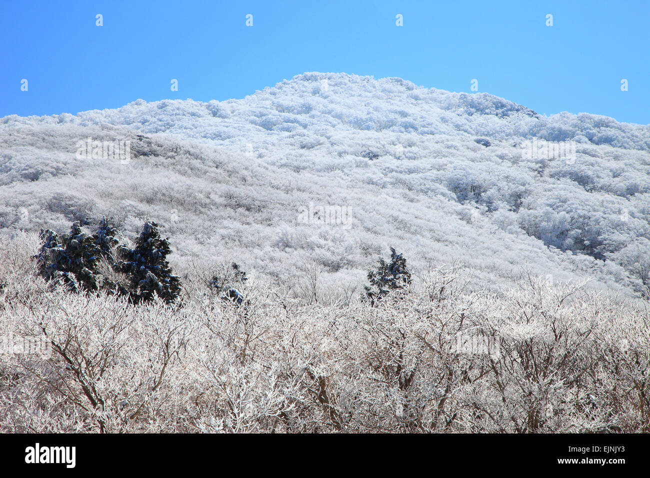 Oita Prefecture Japan Stock Photo - Alamy