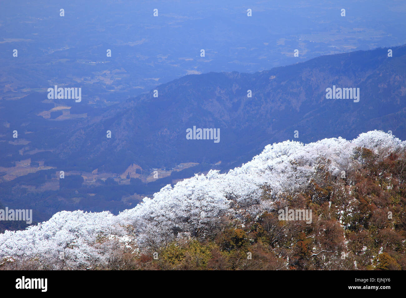 Oita Prefecture Japan Stock Photo - Alamy