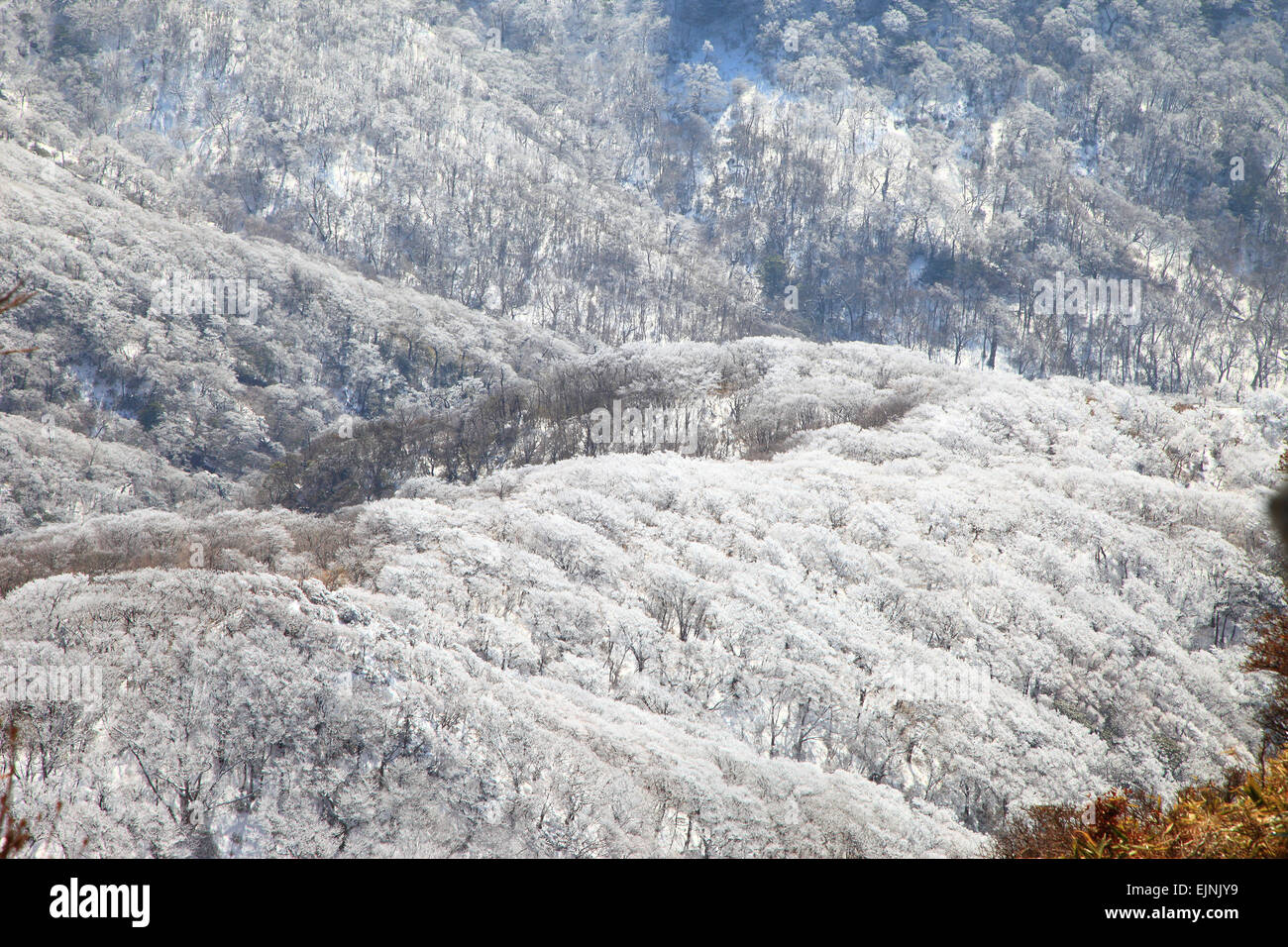 Oita Prefecture Japan Stock Photo - Alamy