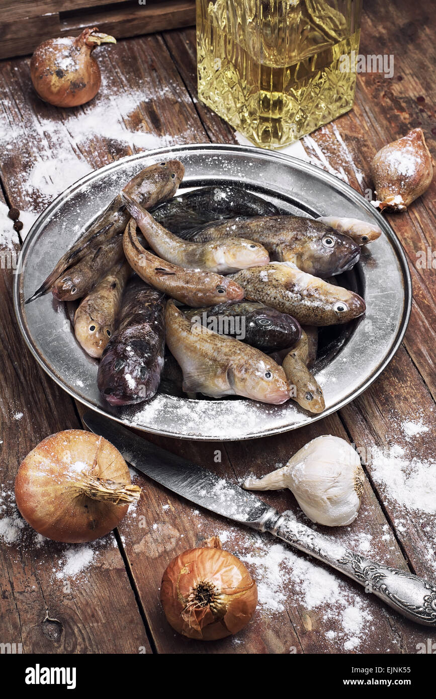 raw fish breed perciformes called bull on background attributes kitchen ...