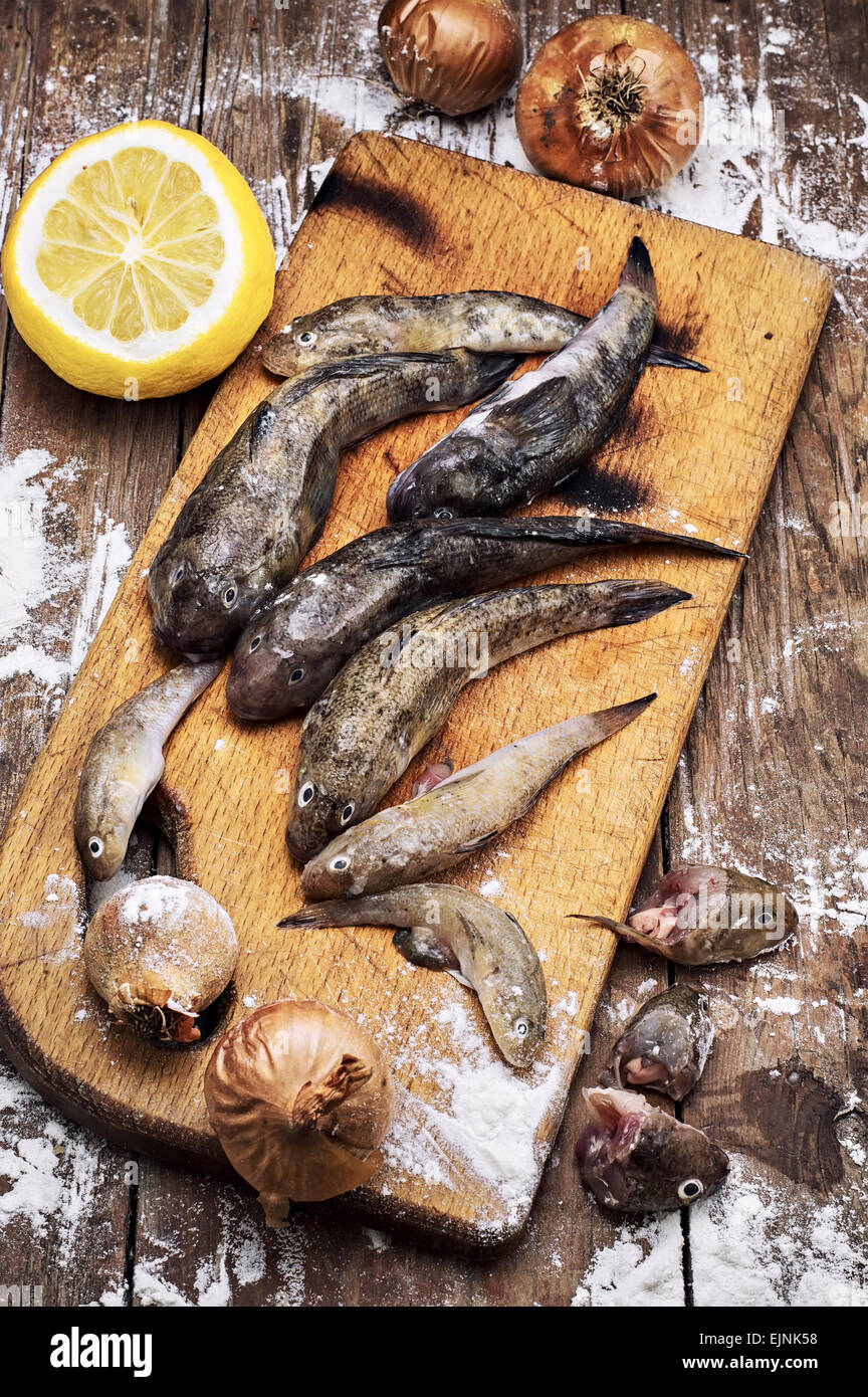 raw fish breed perciformes called bull on background attributes kitchen ...