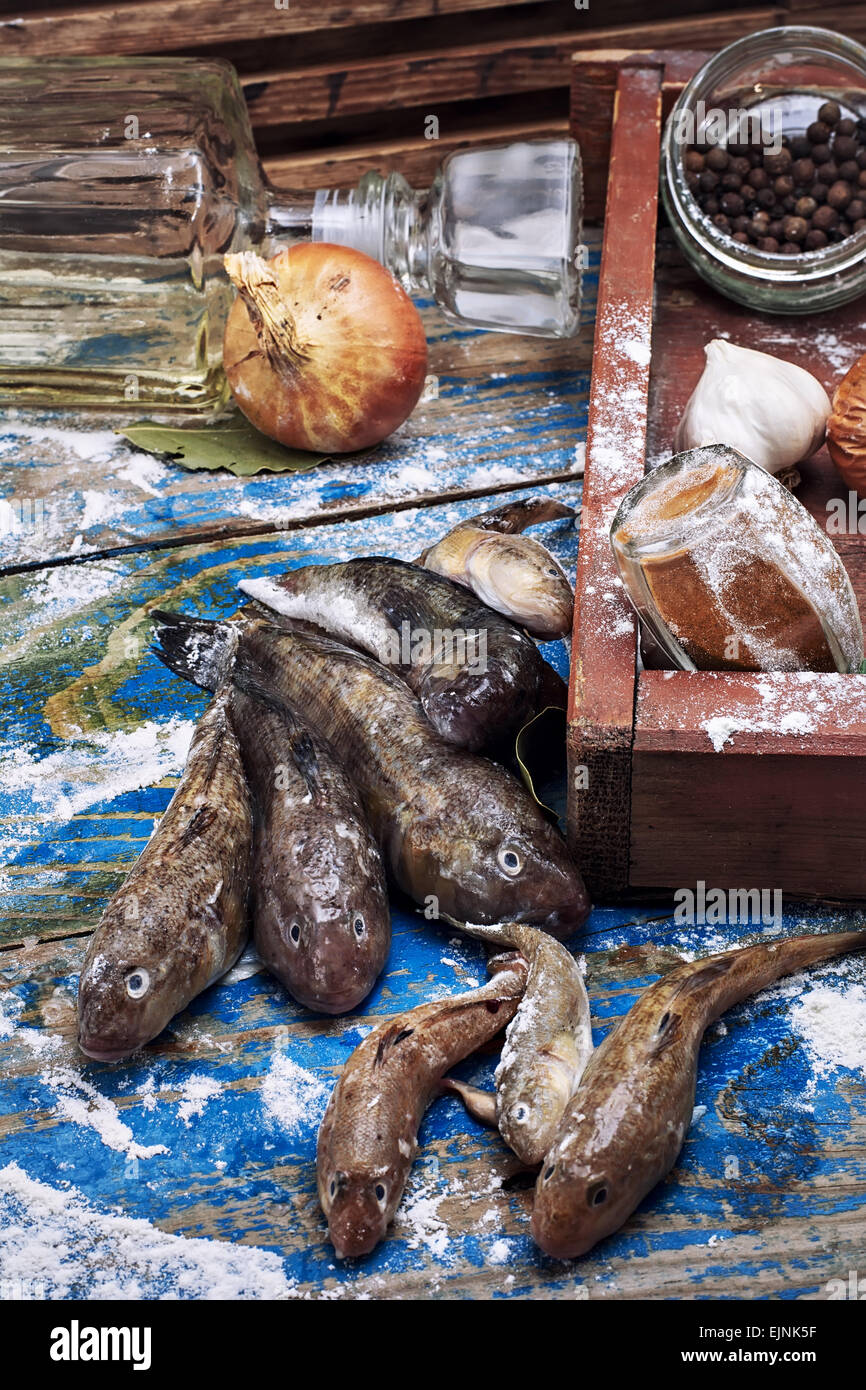 raw fish breed perciformes called bull on background attributes kitchen ...