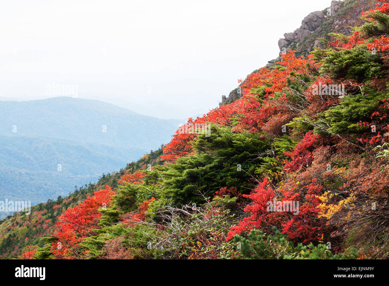 Hanamaki japan hi-res stock photography and images - Alamy