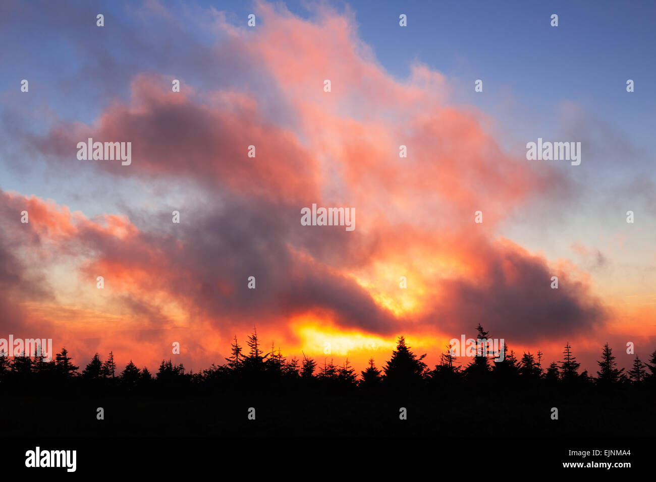 Miyagi Prefecture Japan Stock Photo - Alamy