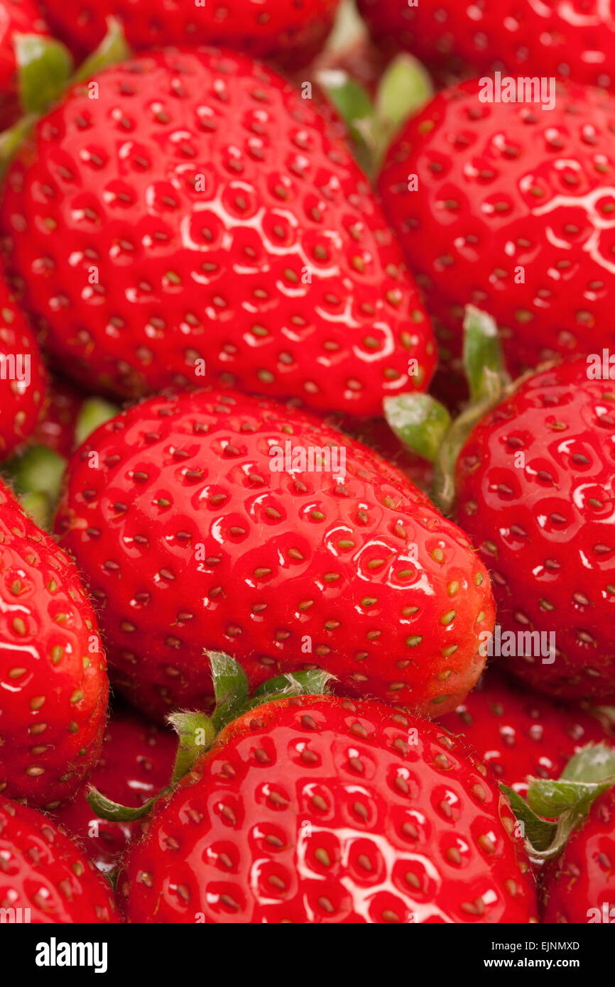 Multiple strawberries hi-res stock photography and images - Alamy