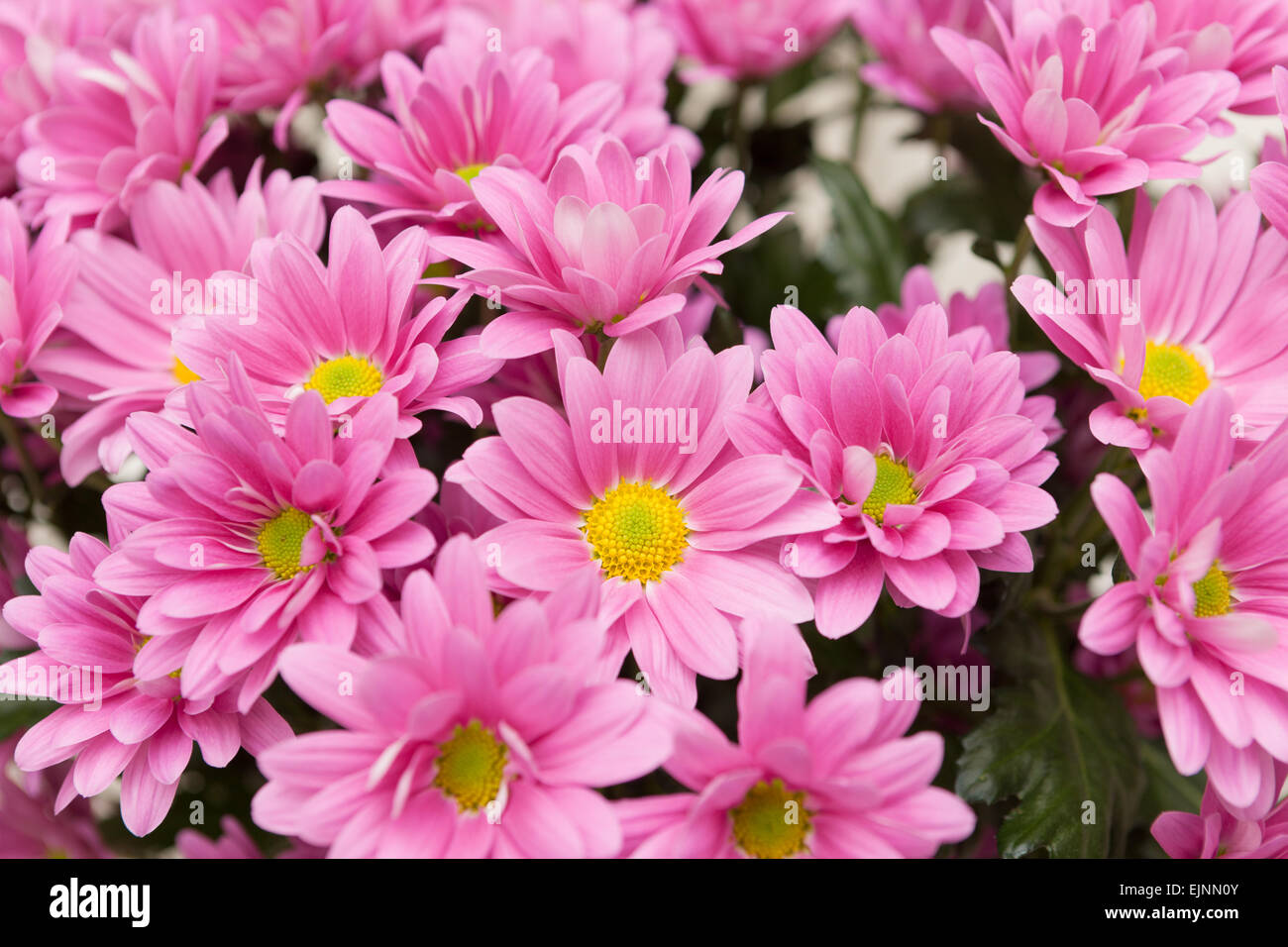 Group of mums hi-res stock photography and images - Alamy