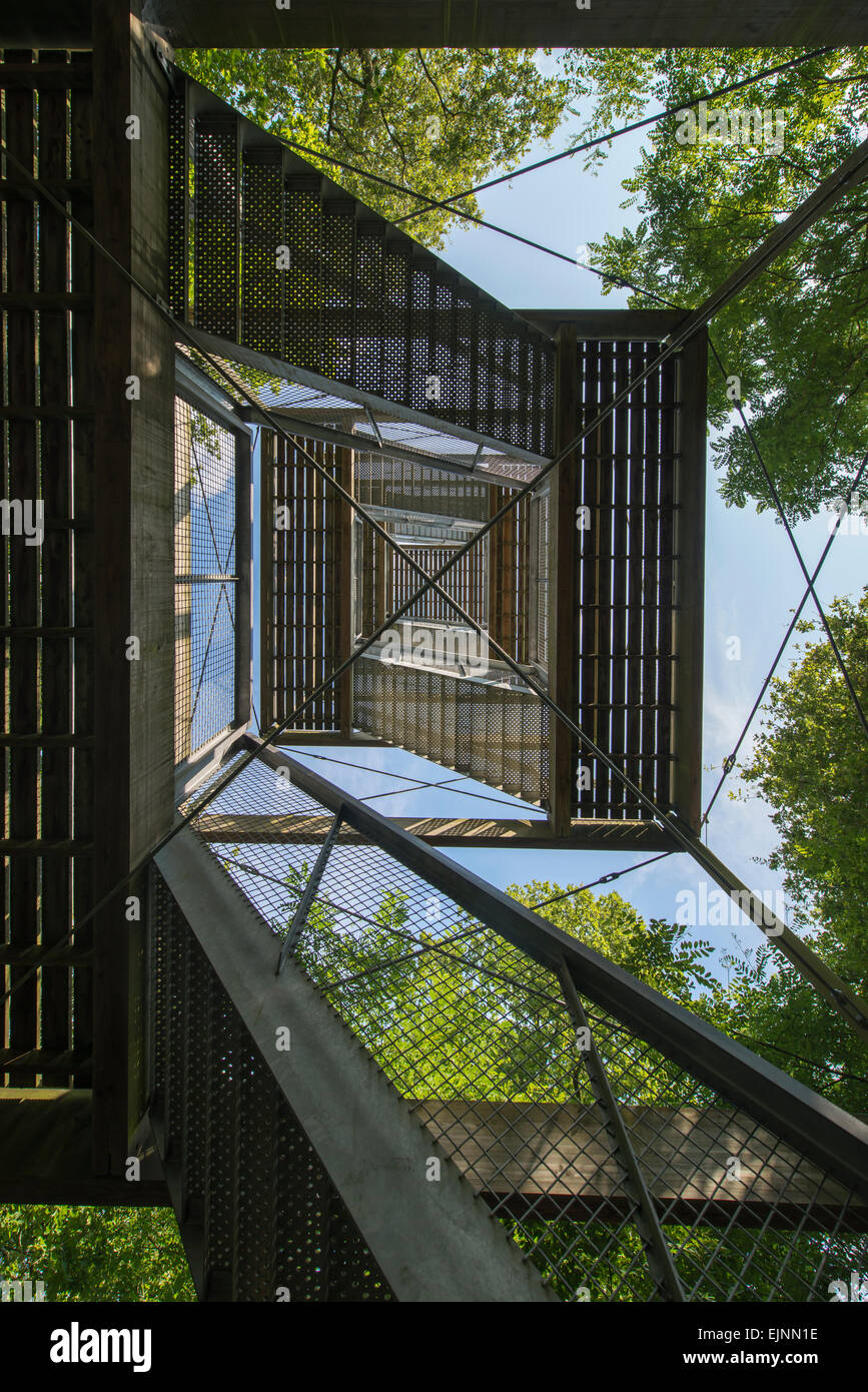 Lookout tower and forest hi-res stock photography and images - Alamy