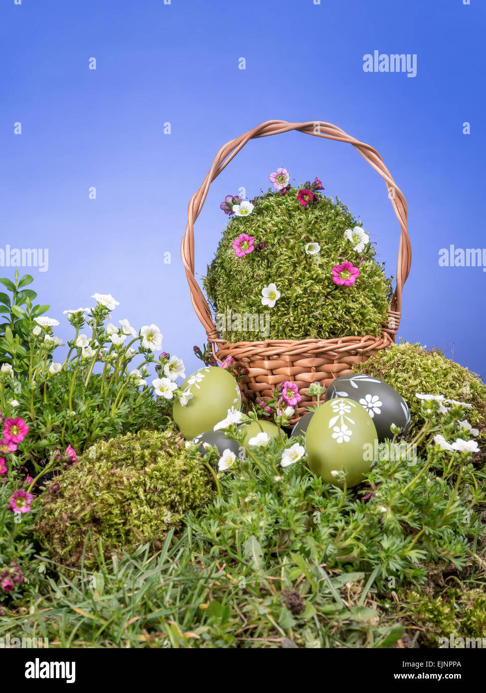 Moss with flowers hi-res stock photography and images - Alamy