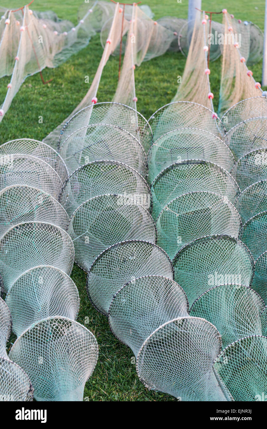 Fishing nets on land grass Stock Photo - Alamy