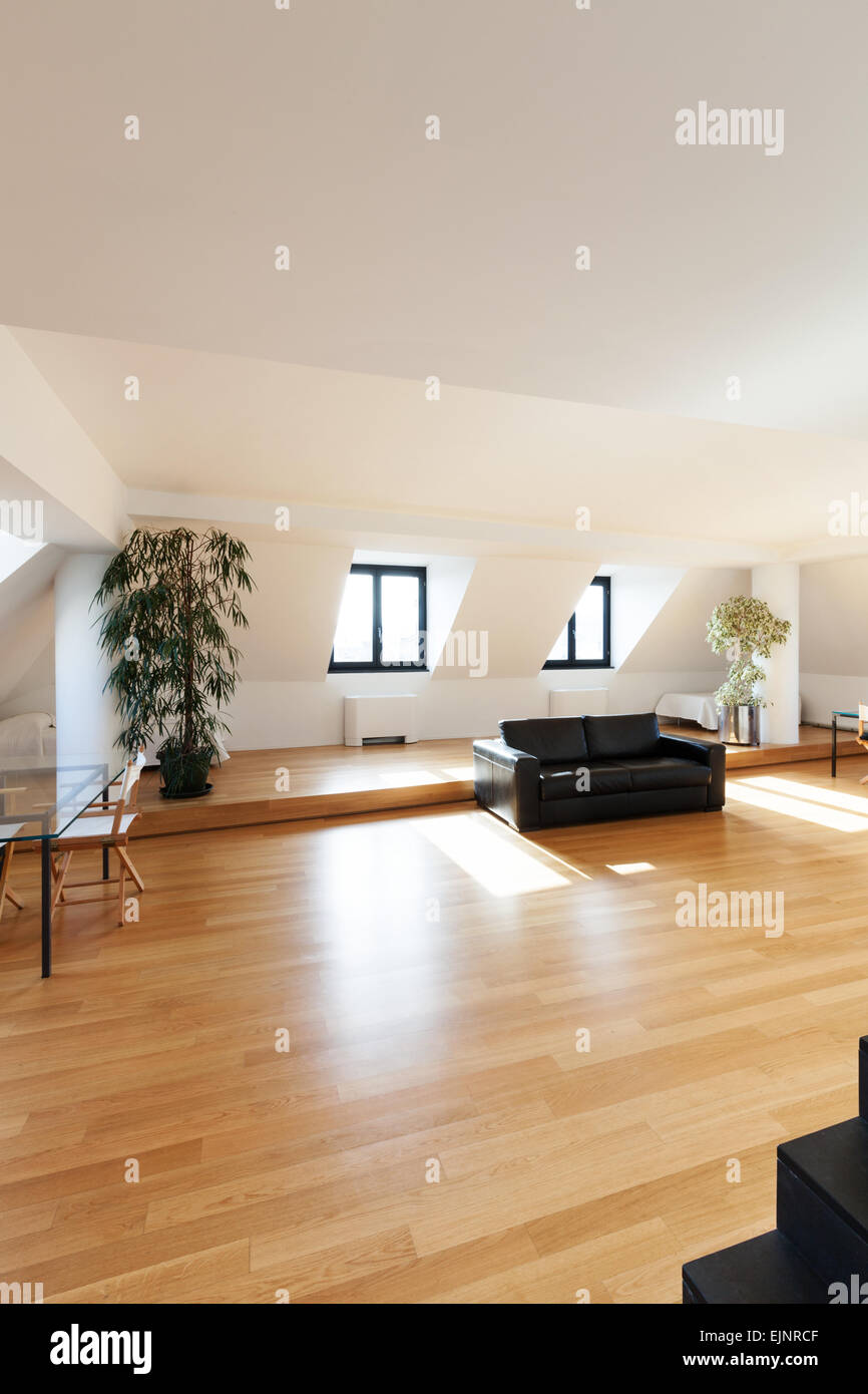 Interior, beautiful loft, hardwood floor, view living room Stock Photo ...