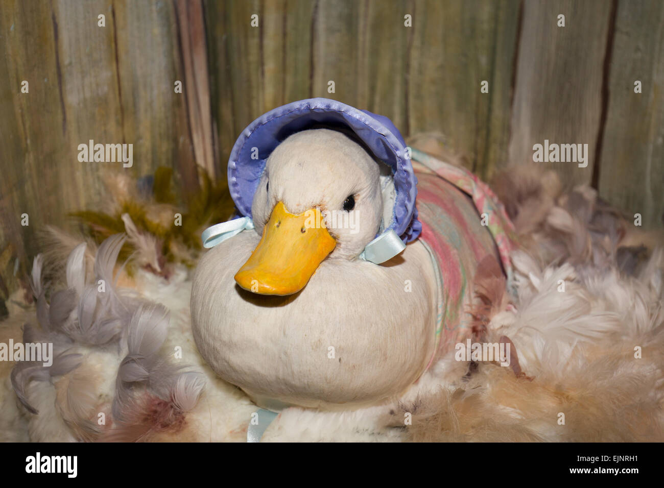 The World of Beatrix Potter attraction Stock Photo - Alamy