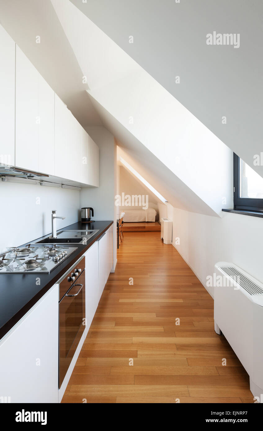 Interior, beautiful loft, hardwood floor, modern kitchen Stock Photo ...