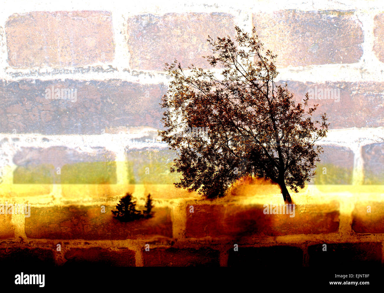Design poster texture background Stock Photo - Alamy