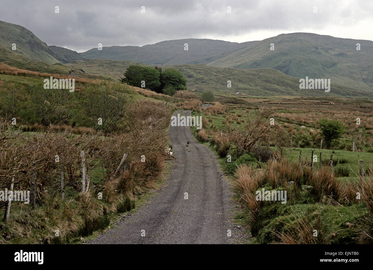 Mountain road in the Blue Stack Mountains, Donegal, Ireland Stock Photo ...