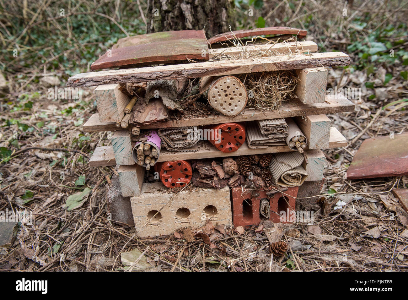 Home made bug hotel hi-res stock photography and images - Alamy