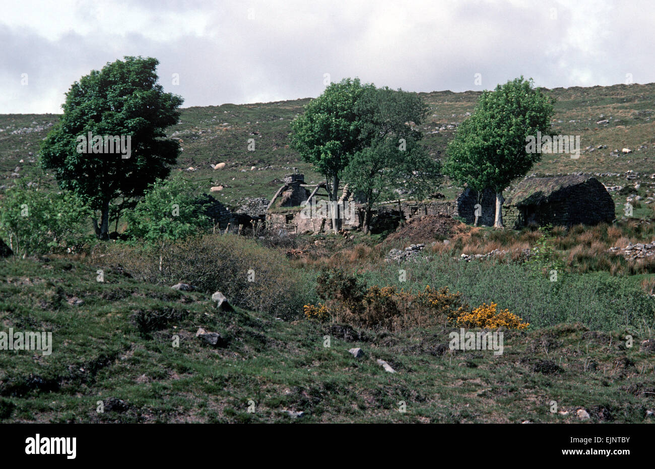 Abandoned farmhouse in the Blue Stack Mountains, Donegal, Ireland Stock ...